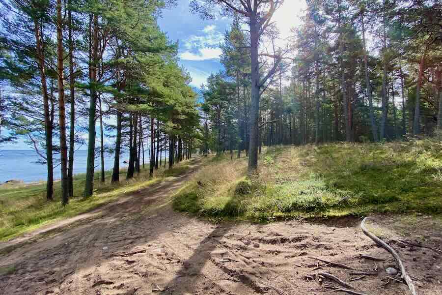 Prangli – a paradise island in Estonia – INDIVUE – travel & art